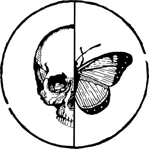 Dead Chicks - Alles von Heavy Metal bis Horror und Games!